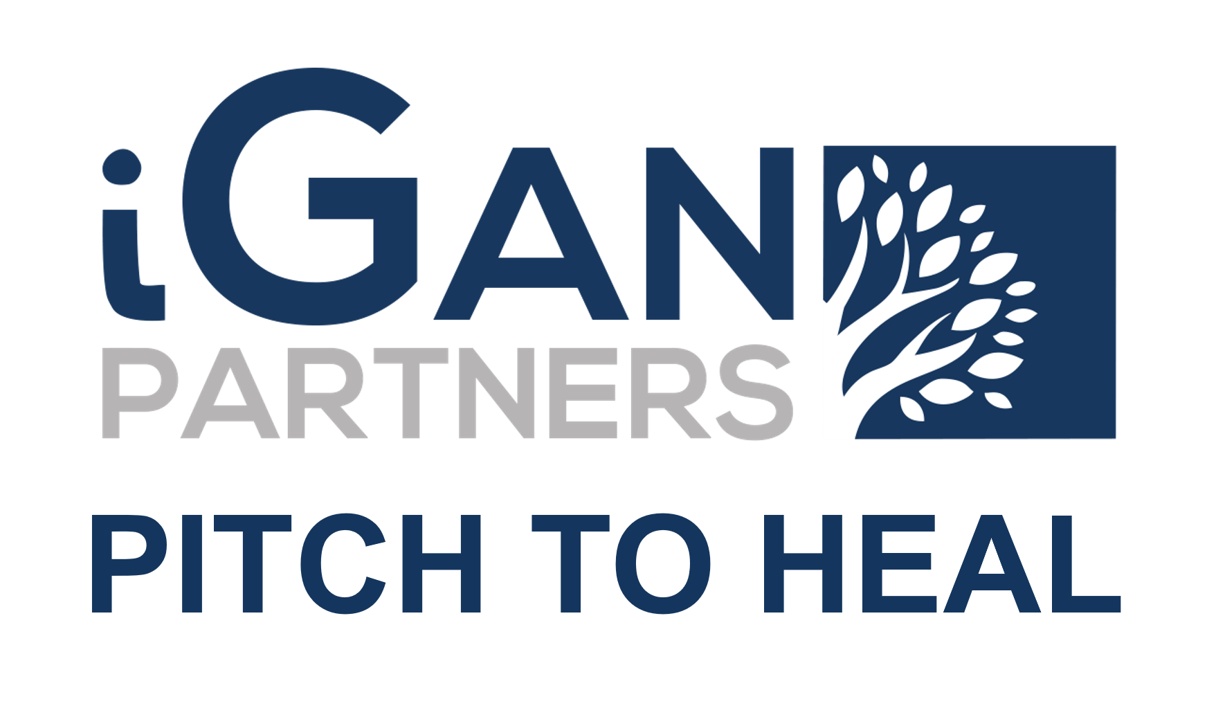 iGan Partners Pitch to Heal Competition awarding $600k to leading ...